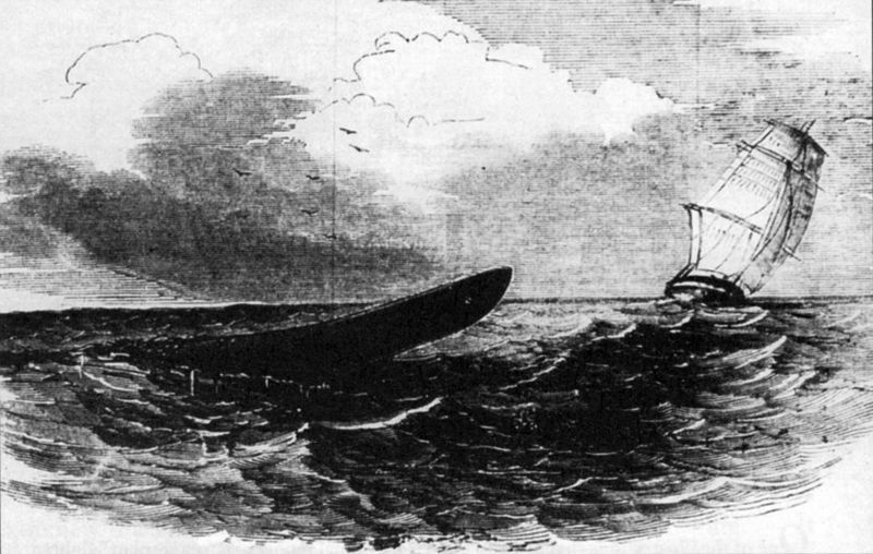 File:HMS Plumper sea serpent 1848.jpg - Monstropedia